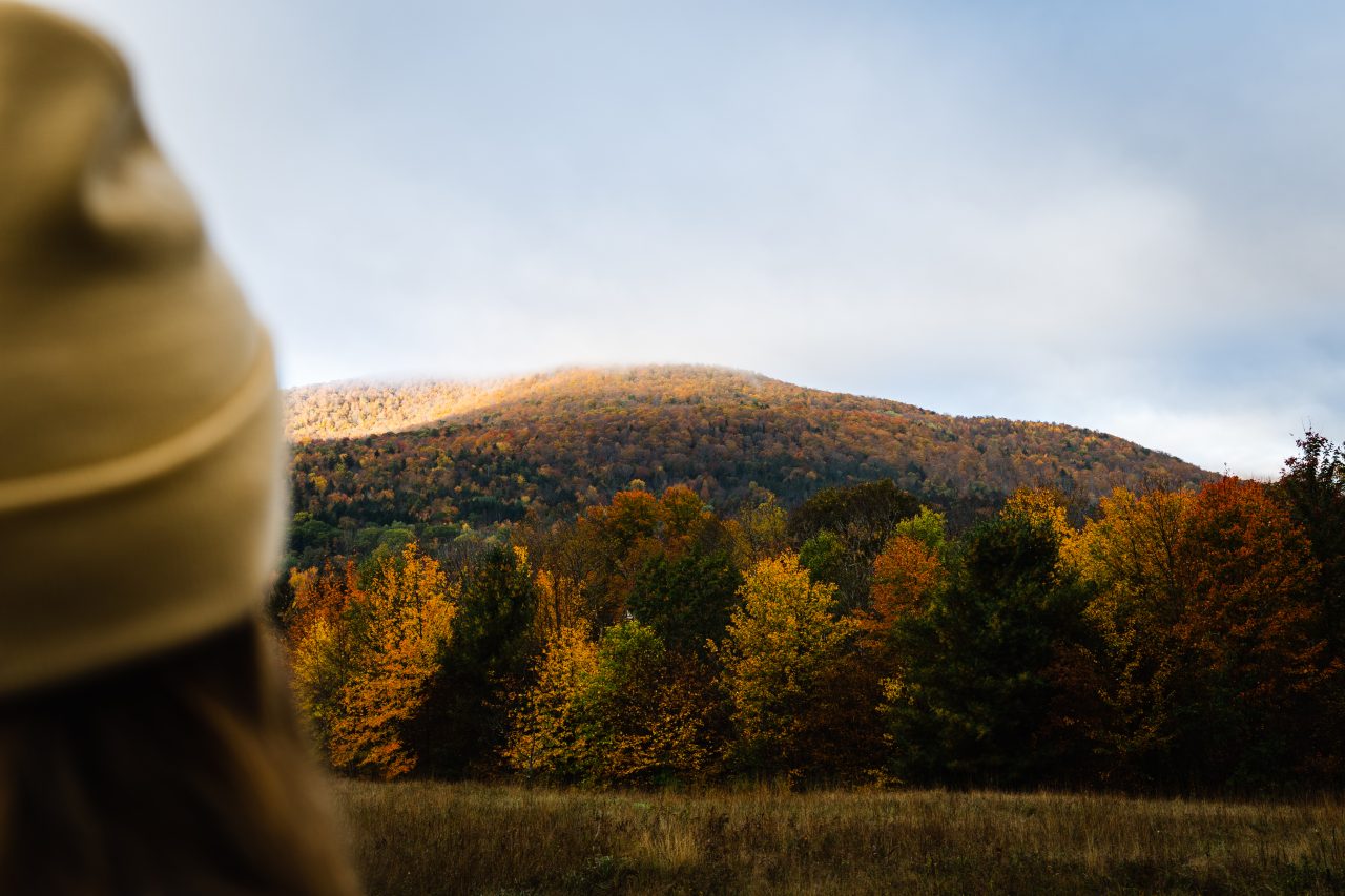 Things To Do In Windham In The Fall | Wylder Hotel Windham