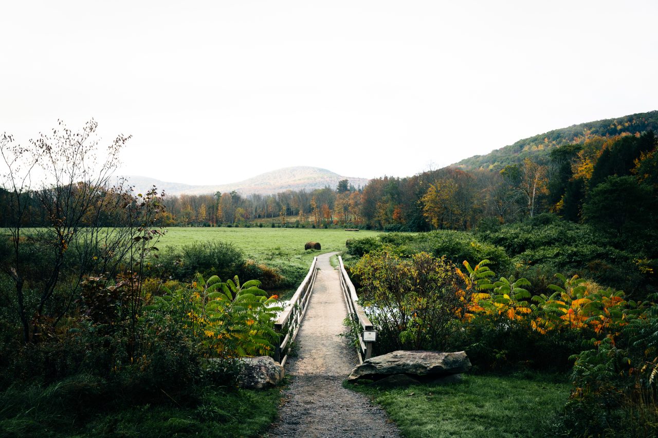 Things To Do In Windham In The Fall | Wylder Hotel Windham